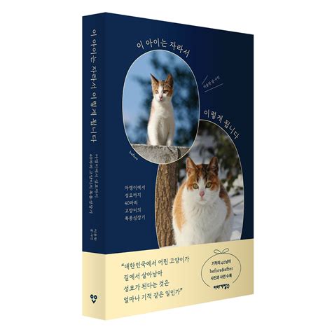 고양이 아크릴 코스터