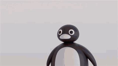 Pengu Noot Noot  Pengu Noot Noot 4k Discover And Share S