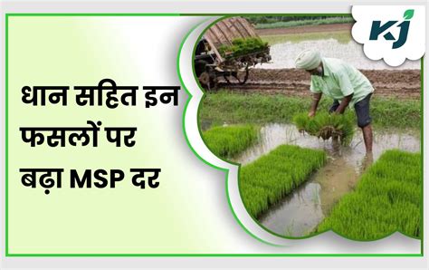 Msp Price Hike खरीफ फसलों के लिए बढ़ाई गई न्यूनतम समर्थन मूल्य जानें