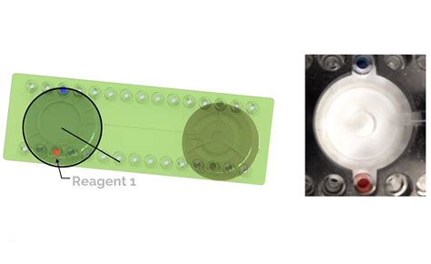 Moving Fluids In Microfluidics Without External Valves And Pumps Enplas Global