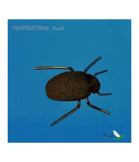 beetle fly pattern by riversflt