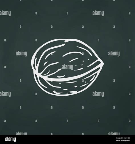 Walnut Thin White Lines On A Textural Dark Background Vector Stock