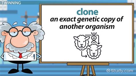 Gene Cloning Animation