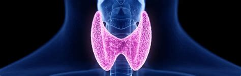 Όζοι θυρεοειδούς Συμπτώματα And Θεραπεία Θυροειδή Αποστόλου