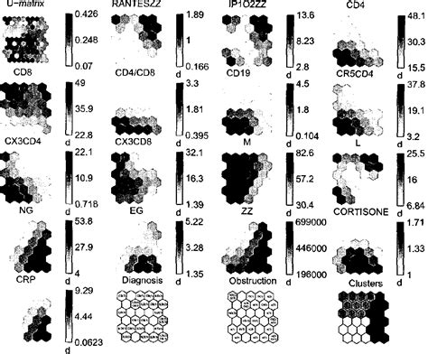 Figure I From Neural Network Signal Analysis In Immunology Semantic Scholar