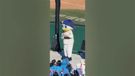 롯데자이언츠 누리 💙 니가 참 좋다 Youtube