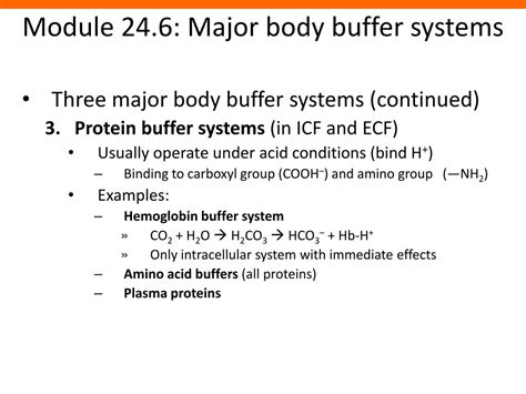 Ppt Homeostasis Powerpoint Presentation Free Download Id 1138529