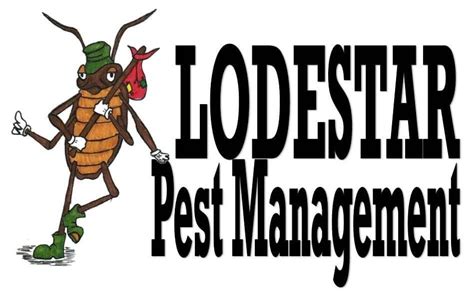 Bed Bug Control Services Lodestar Pest Management