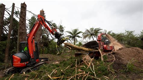 Chipping Total Tree Removal