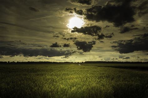Sunlight Landscape Sunset Sea Nature Reflection Grass Sky Field