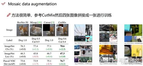 目标检测YOLO系列 二 解读论文与复现代码YOLOv PyTorch 知乎