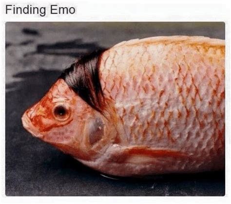 Emo Memes 10 6 9 2025 Thunder Dungeon The Funniest Memes Period