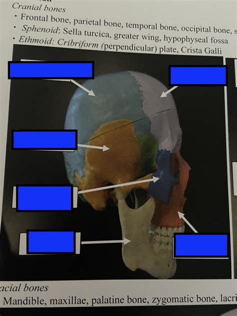 Biol Diagram Quizlet