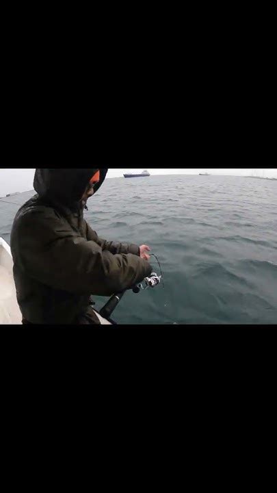 【1m超えの魚】 釣り 鹿島灘サーフ Fishing バス釣り 海釣り Automobile Youtube