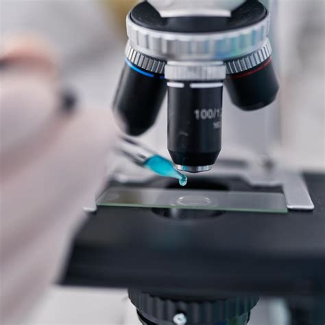 Transforming Blood Cancer Therapy—sting Agonists And Bh3 Mimetics