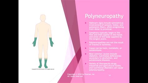 Chapter 17 Lecture Part 2 Dysfunction Of Peripheral Nerves Youtube