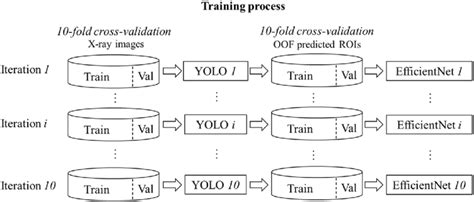 Training Process For Yolo And Efficientnet The Yolo Network Was Download Scientific Diagram