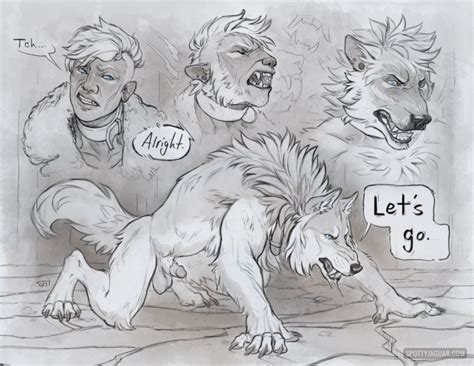 Rule 34 All Fours Anthro Balls Canid Canine Collar Countershading