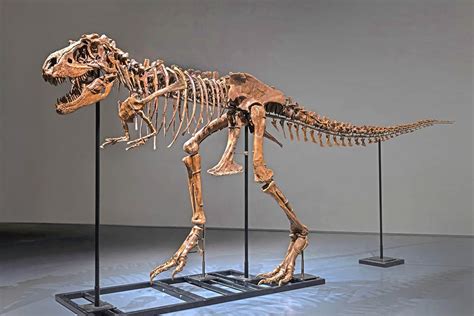 First News Sale Osaurus