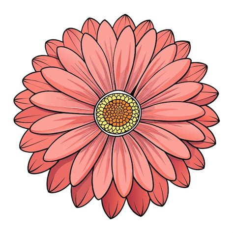 Gerbera Clipart Illustration Vectors And Illustrations For Free Download
