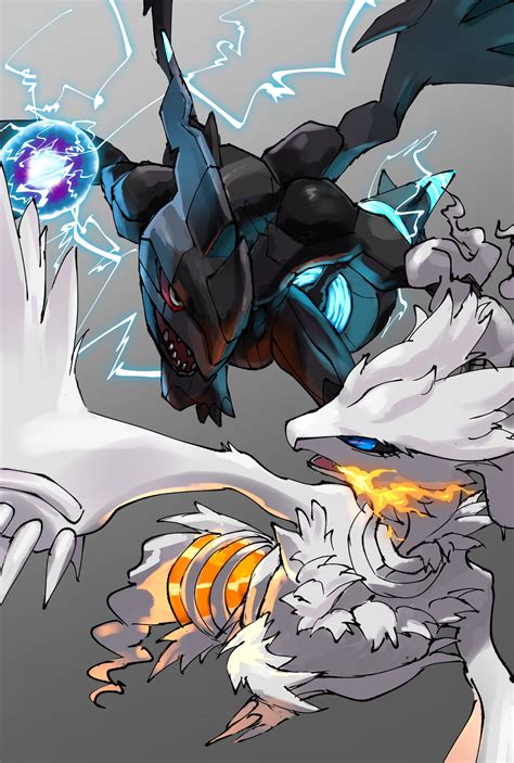 Reshiram And Zekrom Pokemon Drawn By Futena Goze Danbooru