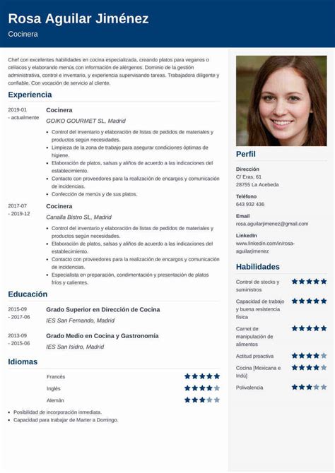 Ejemplo De Un Curriculum Perfil Profesional En El Currículum Modelos