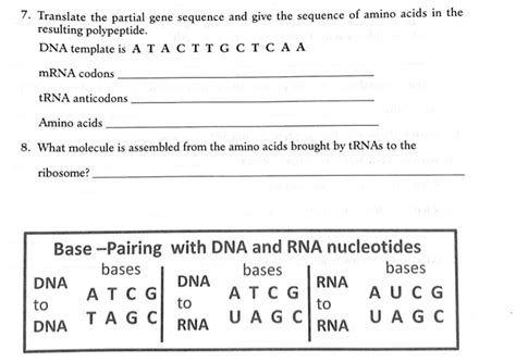 Solved Translate The Partial Gene Sequence And Give The Chegg