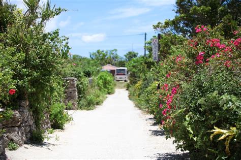 이시가키 섬 은하수 투어 오키나와에세이