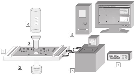 Typical Particle Tracking Setup For 2d Microrheology Experiments 1