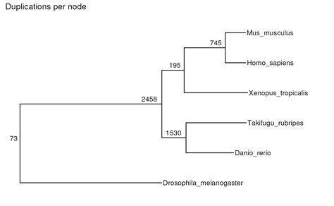 Assessing Orthogroup Inference Cogeqc
