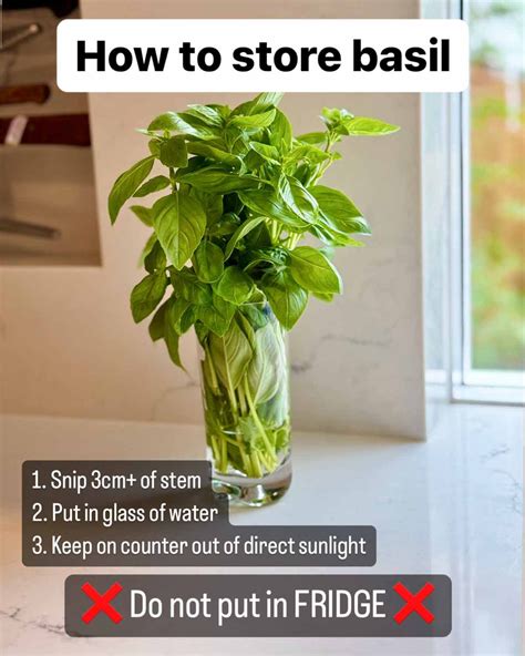 How To Store Basil RecipeTin Eats