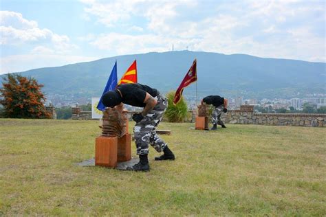 Специјална единица Волци Home