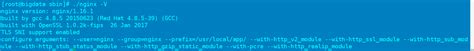 Nginx漏洞升级：nginx 1161cve 2019 9511 Csdn博客