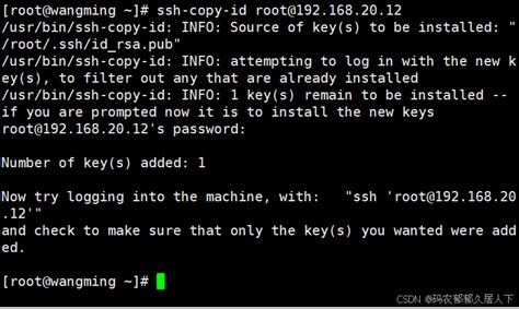 Linuxssh远程访问和控制linux Ssh Csdn博客