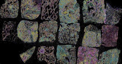 Reducing Single Cell And Spatial Analysis From Hours To Minutes Case