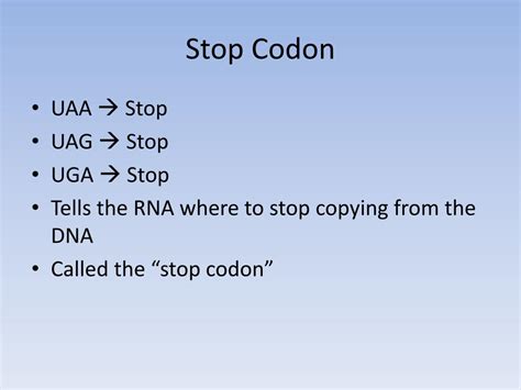 Ppt Transcription And Translation Powerpoint Presentation Free Download Id5738091