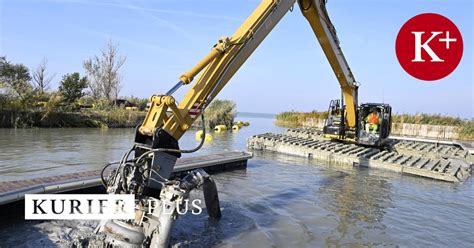 Wassermangel Der Anfang Vom Ende Des Neusiedler Sees