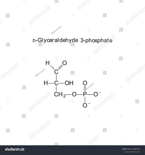 D Glyceraldehyde 3 Phosphate Skeletal Structure Diagramorganic Molecule Stock Vector Royalty