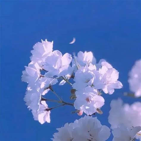 用行动实现心中的蓝图 梦想 想法 个人