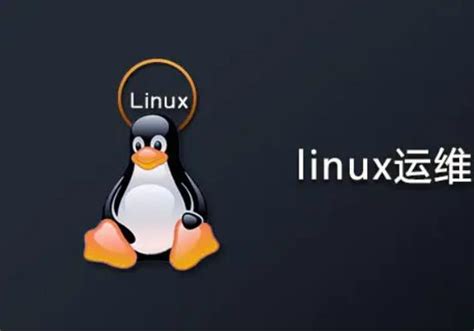在linux环境下使用vscode进行编译和运行的全面指南 不念博客