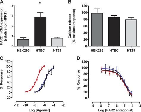 Functional Expression Of Protease Activated Receptor 2 Par2 By Human