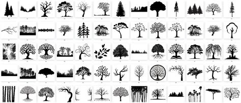 Tree PNG SVG Bundle Tree Clipart Set Nature Vector Graphics Tree SVG Files Printable