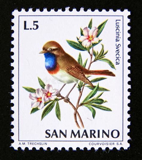 San Marino 1972 Postage Stamp White Spotted Bluethroat Bird