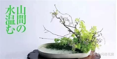 详解日本花道的小原流 知乎