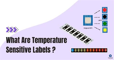 Shipping Label Size A Comprehensive Guide