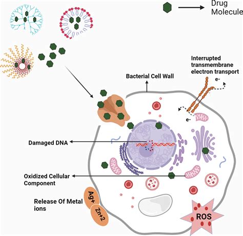 Road Map To The Treatment Of Neglected Tropical Diseases Nanocarriers