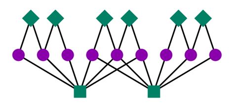 The Tanner Graph Of The 9 Qubit Shor Code Purple Circles Represent
