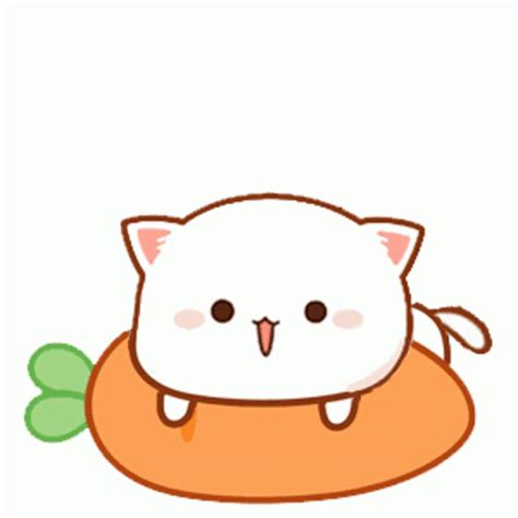 Mitao Mochi Mochi Cat Sticker Mitao Mochi Mochi Cat Descubre Y