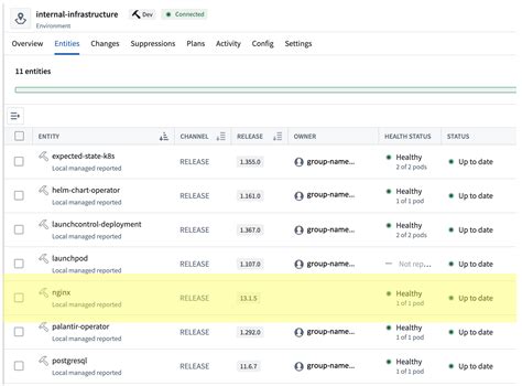 Install A Release Palantir