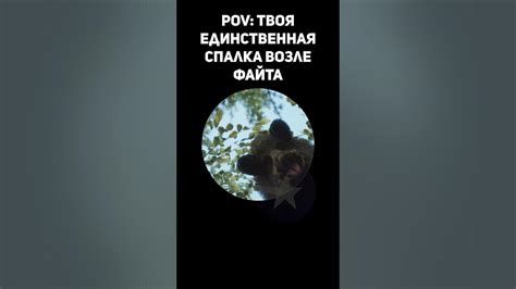 Ку кд Чд Magicrust Rust Meme раст Youtube